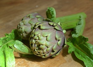 nexciencia.exactas.uba.ar » Alcauciles, mucho más que un corazón tierno